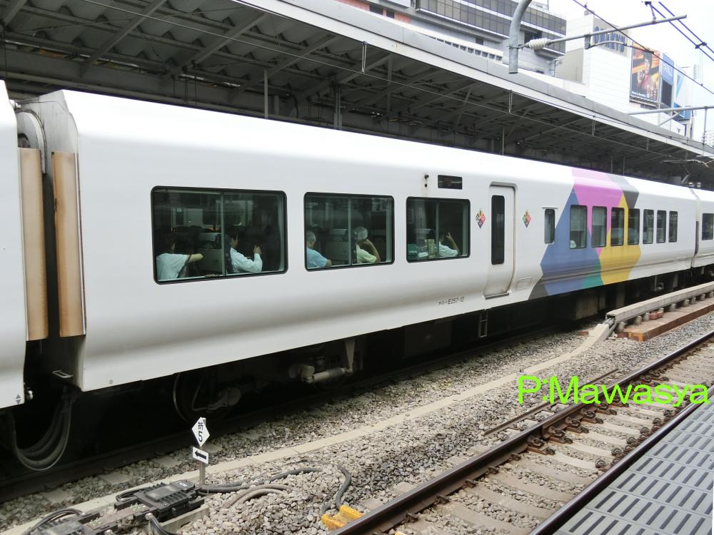 JR東日本E257系特急形直流電車