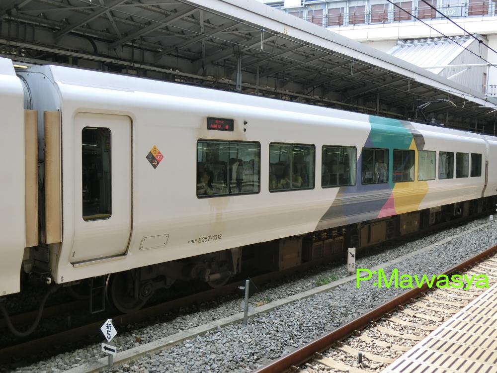 JR東日本E257系特急形直流電車