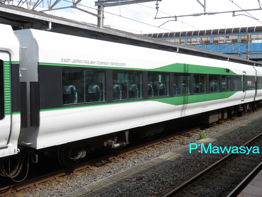 JR東日本E257系特急形直流電車
